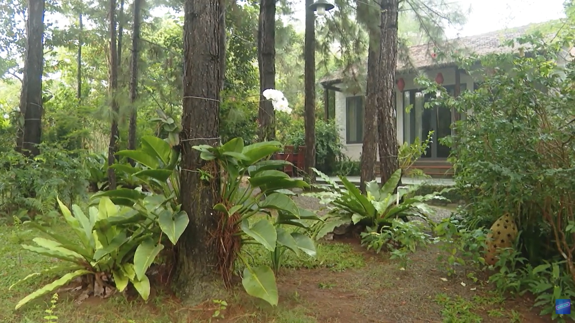 Join HTV's Green Action 2025 - Episode 22: Orienting the Development of ...