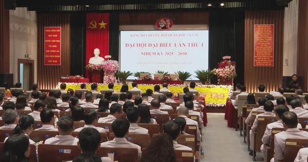 Đảng bộ Chi cục Hải quan khu vực II: Đồng lòng vượt khó, quyết tâm hoàn ...