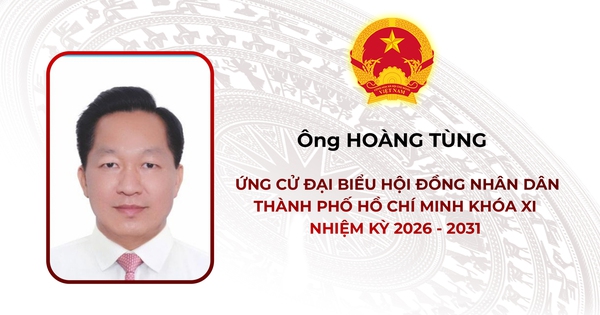 Tóm tắt tiểu sử ông Hoàng Tùng ứng cử Hội đồng nhân dân TP. Hồ Chí Minh ...