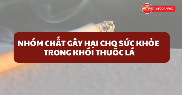 Infographic: 4 nhóm chất gây hại cho sức khỏe trong khói thuốc lá