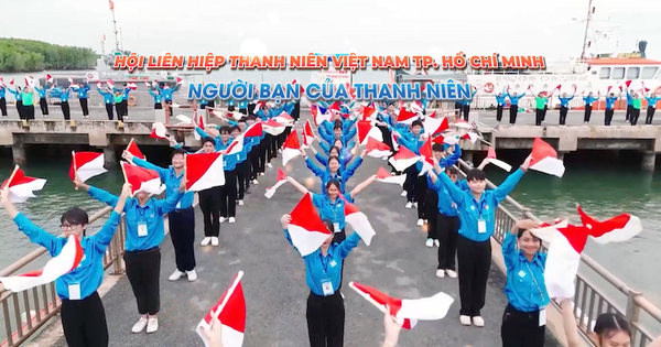 Đại hội Hội Liên hiệp thanh niên Việt Nam TP.HCM lần IX